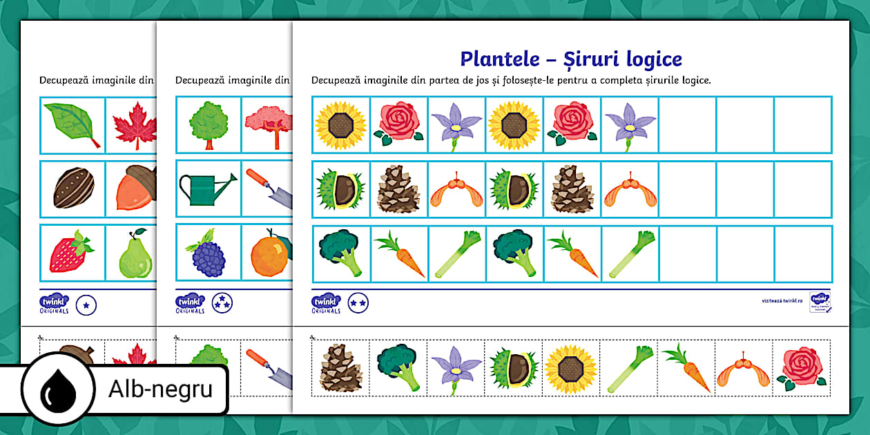Șiruri logice: Plantele – Fișe de activitate diferențiate