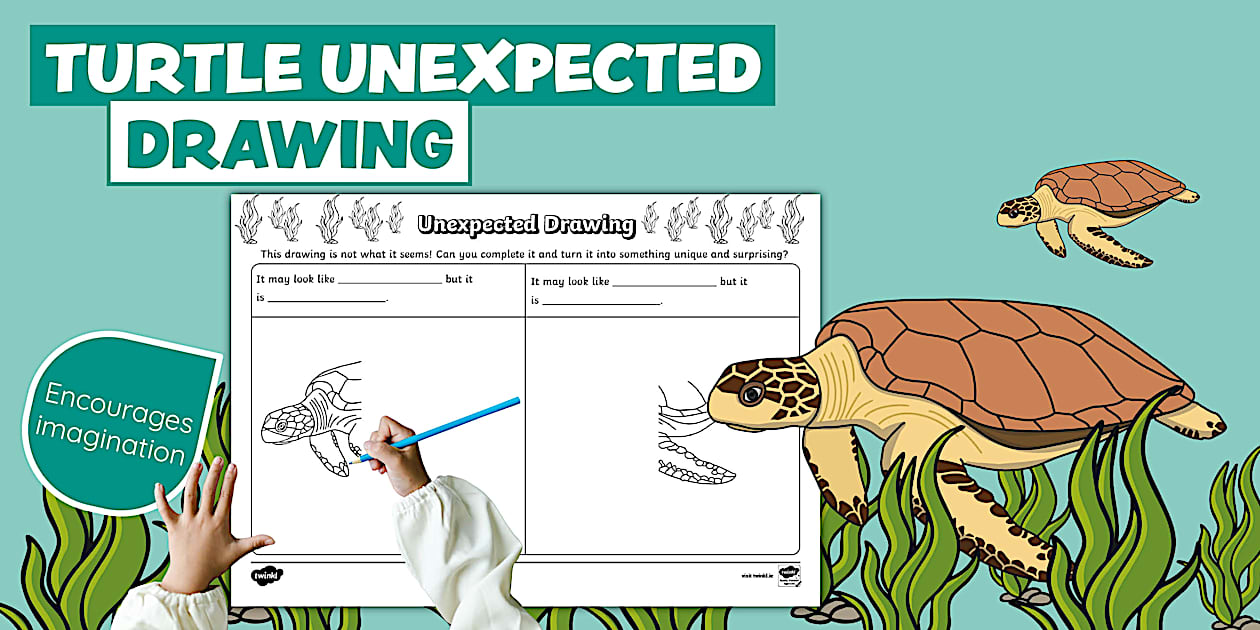 * NEW * Turtle Unexpected Drawing Activity