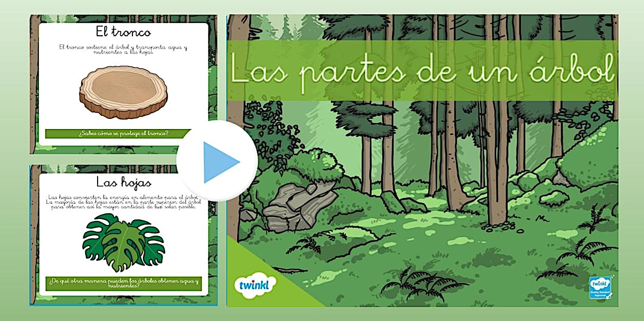 Recurso educativo: presentación de las partes de un árbol