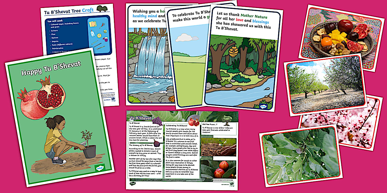 Tu B'Shevat Activity Pack (teacher made) - Twinkl