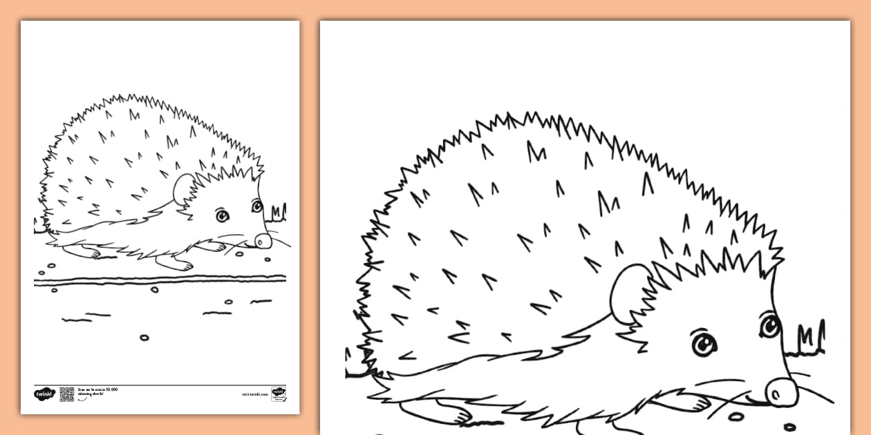 Baby Hedgehog Colouring Sheet - Primary Resources - Twinkl