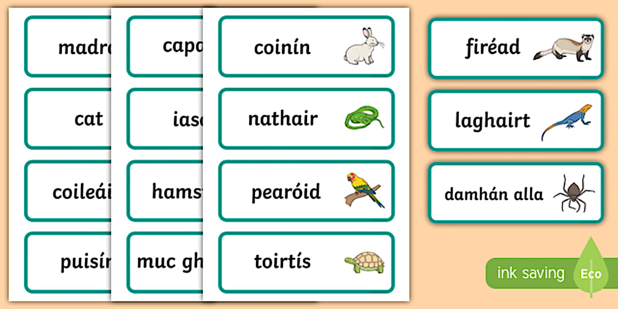 Cursive Mo Pheata Word Cards (teacher made) - Twinkl