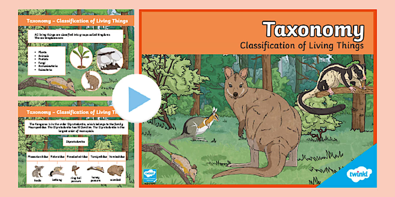 Taxonomy Resource | Animal Kingdom PowerPoint Presentation