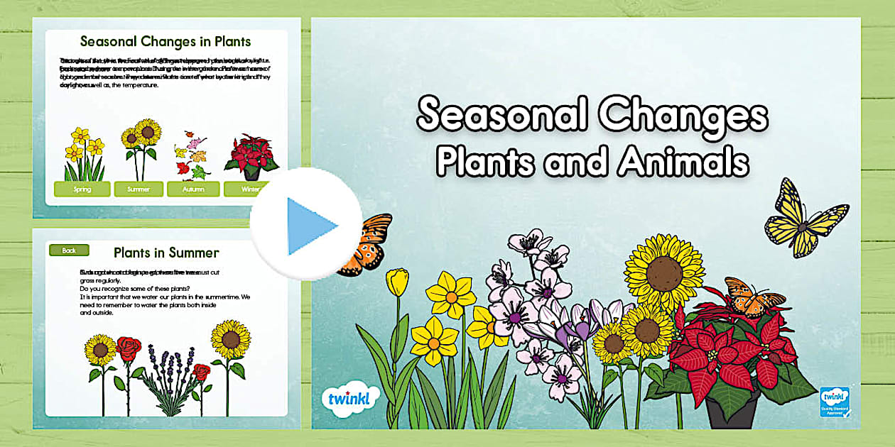 Seasonal Changes in Plants and Animals PowerPoint - Twinkl