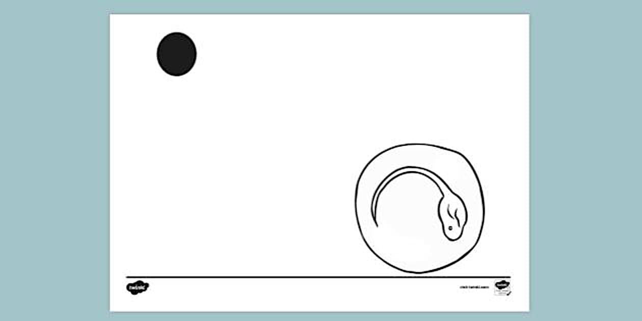 Tadpole in Egg Colouring | Colouring Sheets (teacher made)
