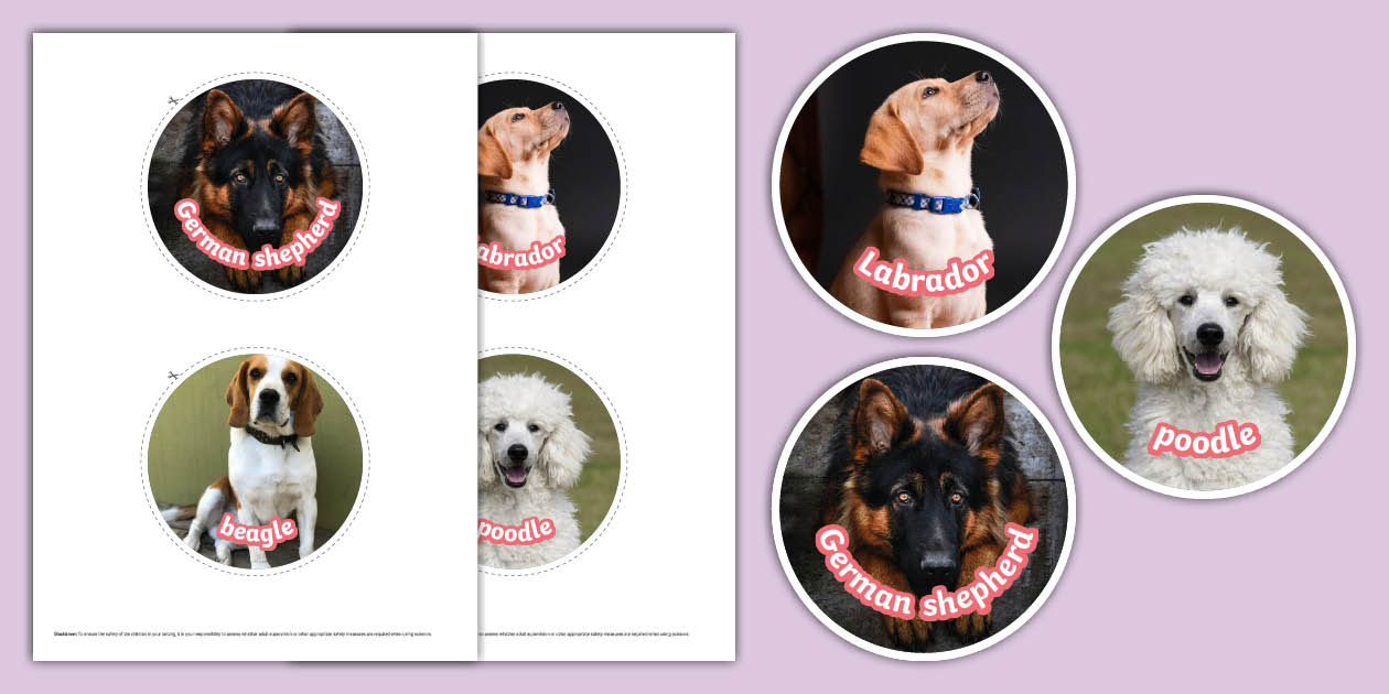 Dog Breeds Photo Circle Display Cut-Outs (teacher made)