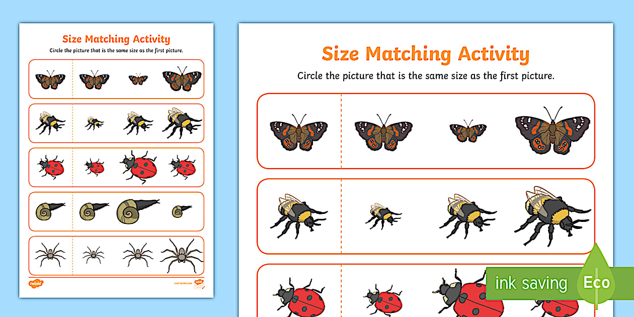 Black and White Minibeast Size Matching Worksheet - Twinkl