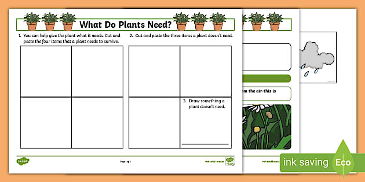 "What Do Plants Need to Survive?" Worksheet | Twinkl