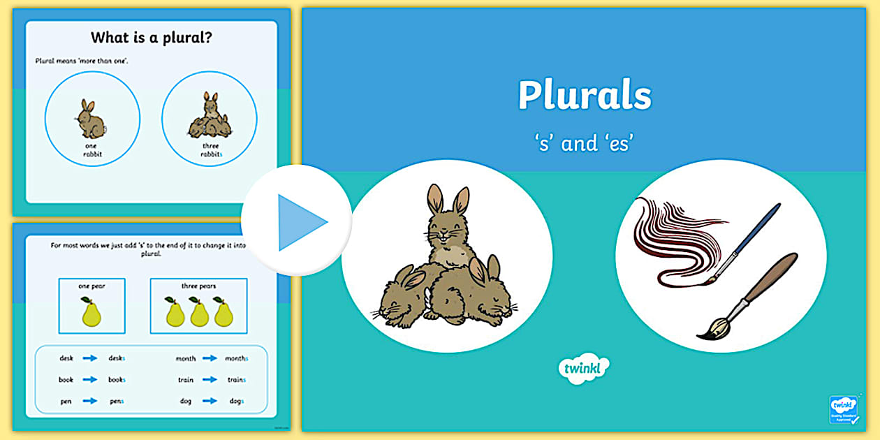 Plurals With -s and -es PowerPoint (Teacher-Made) - Twinkl