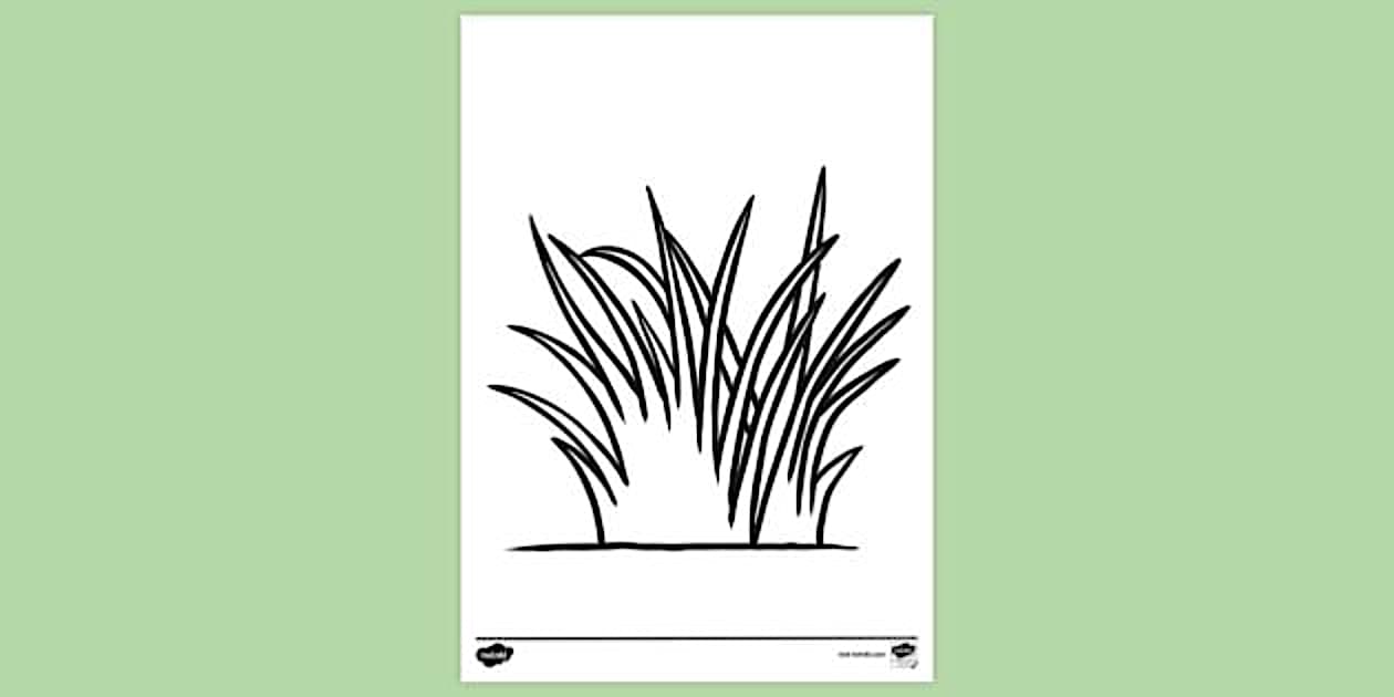 Grass Colouring | Colouring Sheets (teacher made) - Twinkl