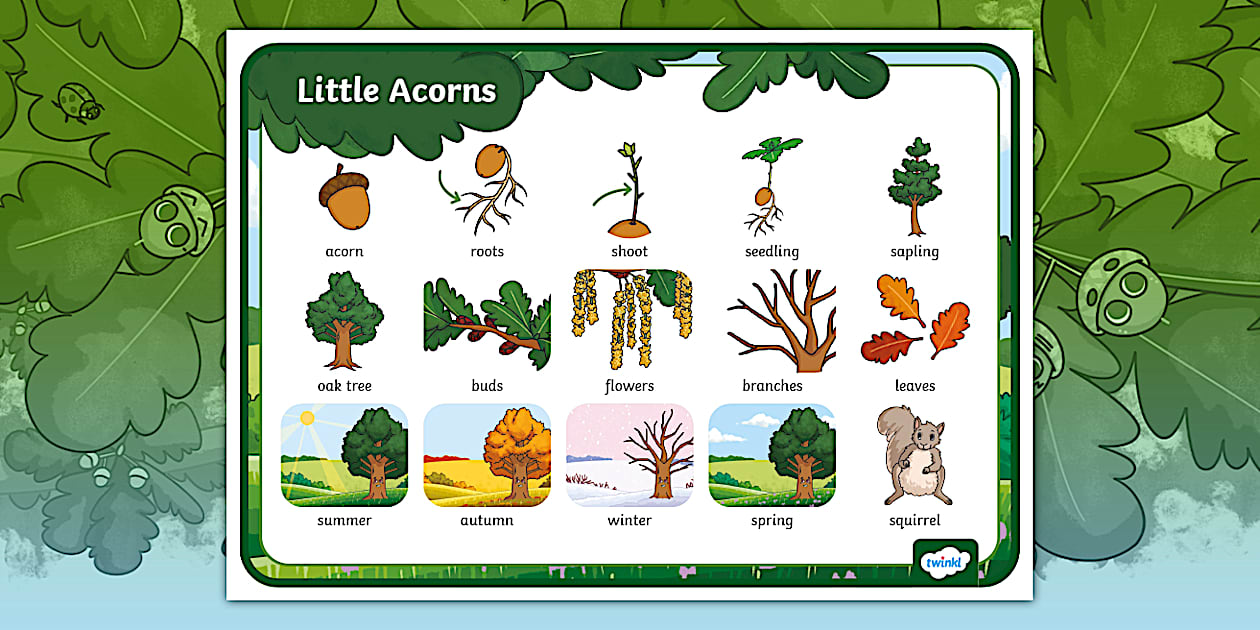 Little Acorns Word Mat (teacher made) - Twinkl