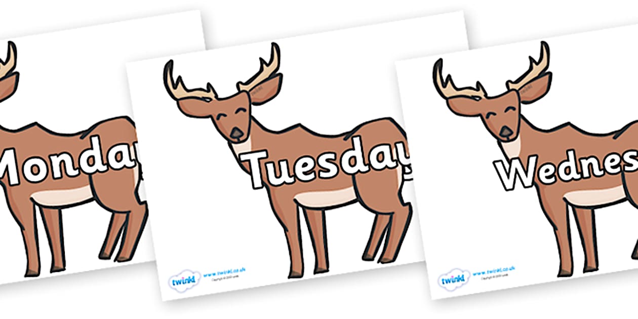 Cursive Days of the Week on Deer (teacher made) - Twinkl