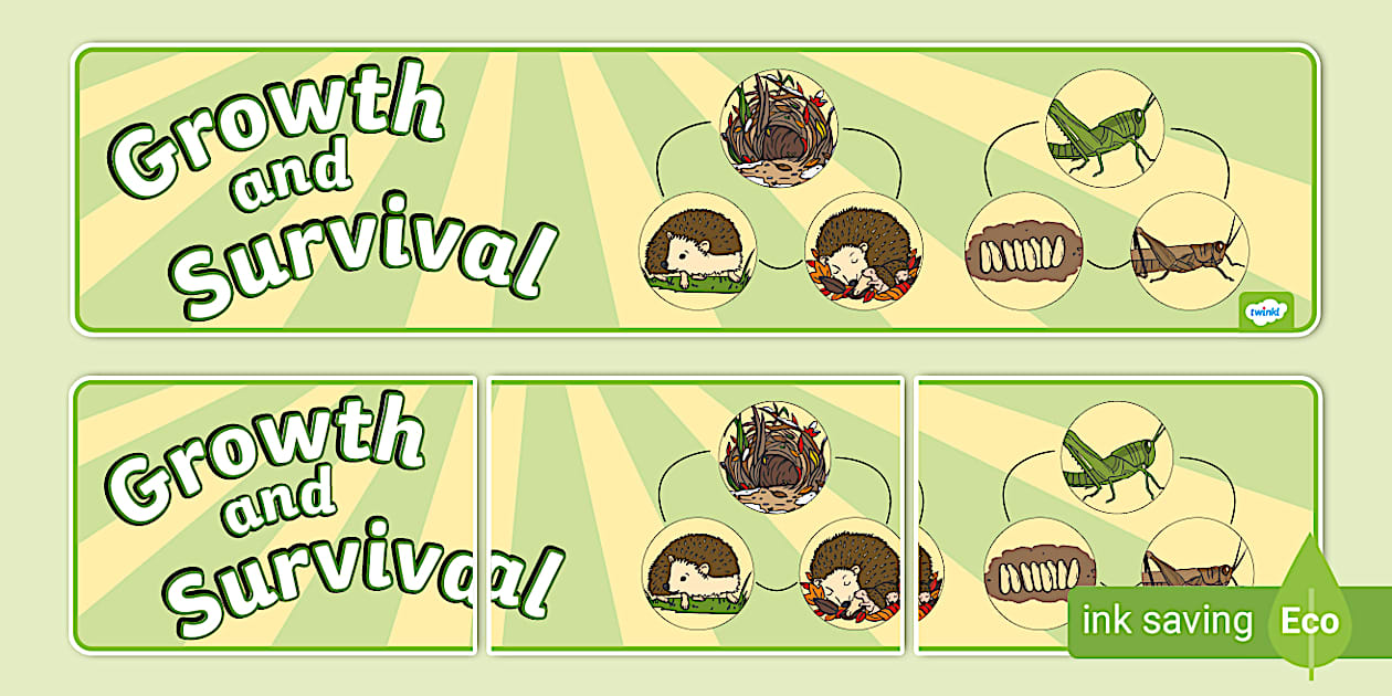 Growth and Survival Display Banner - Twinkl - KS1