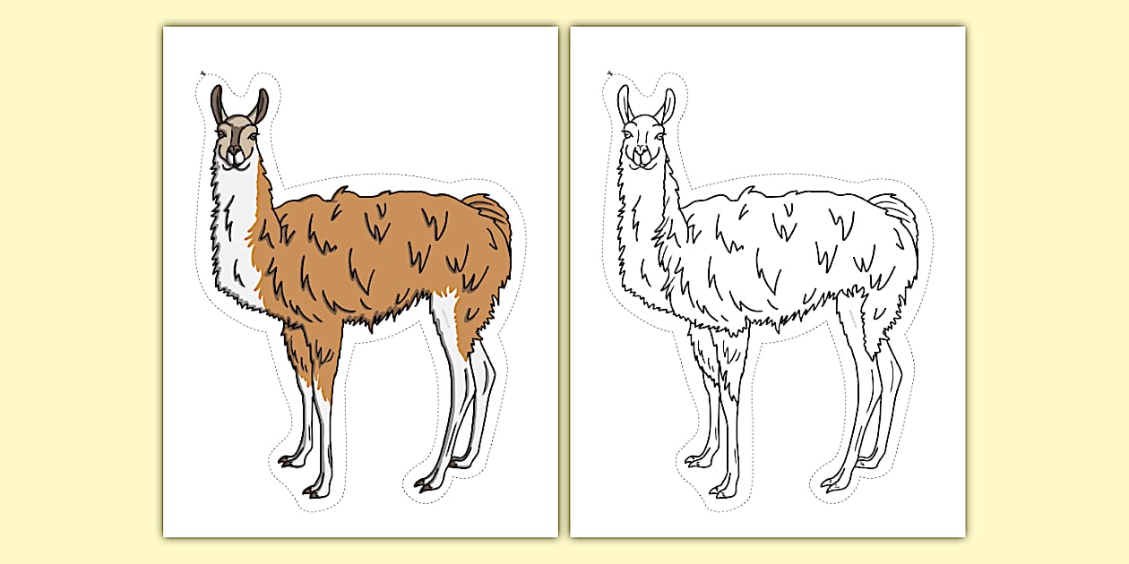 Dibujo de un guanaco para colorear y recortar (teacher made)