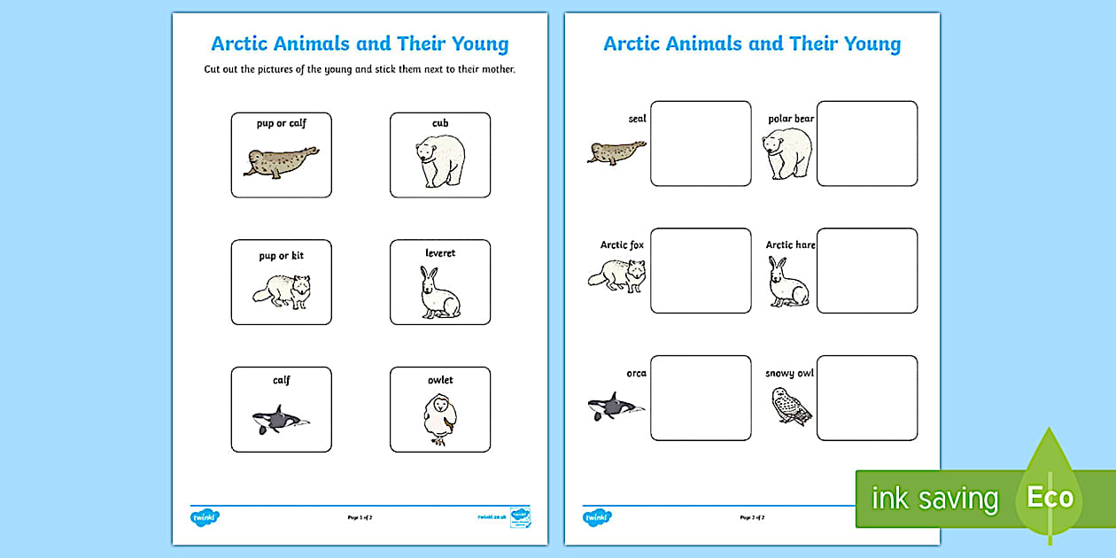 Black and White Arctic Animals and Their Young Matching Worksheet