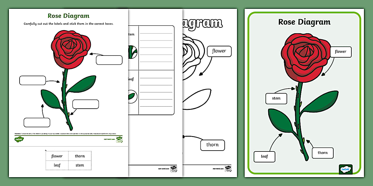 Rose Diagram Pack