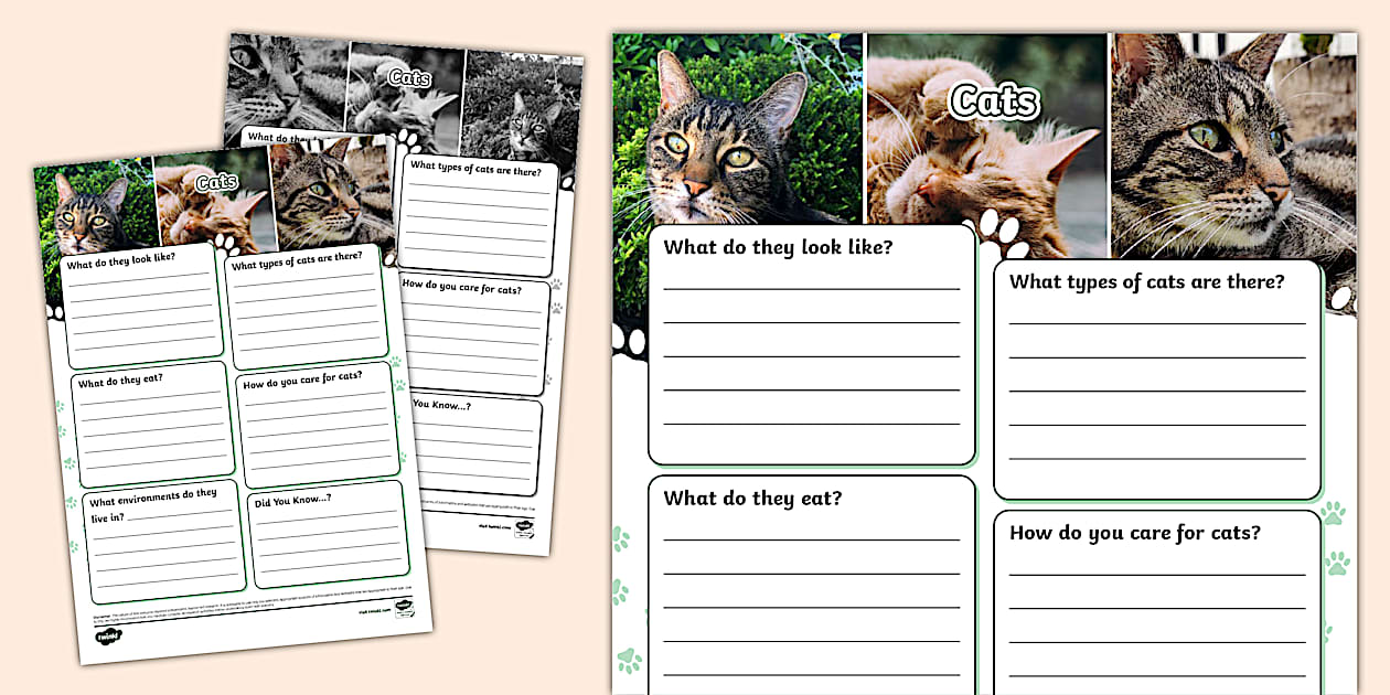 Cats Fact File Template (teacher made) - Twinkl