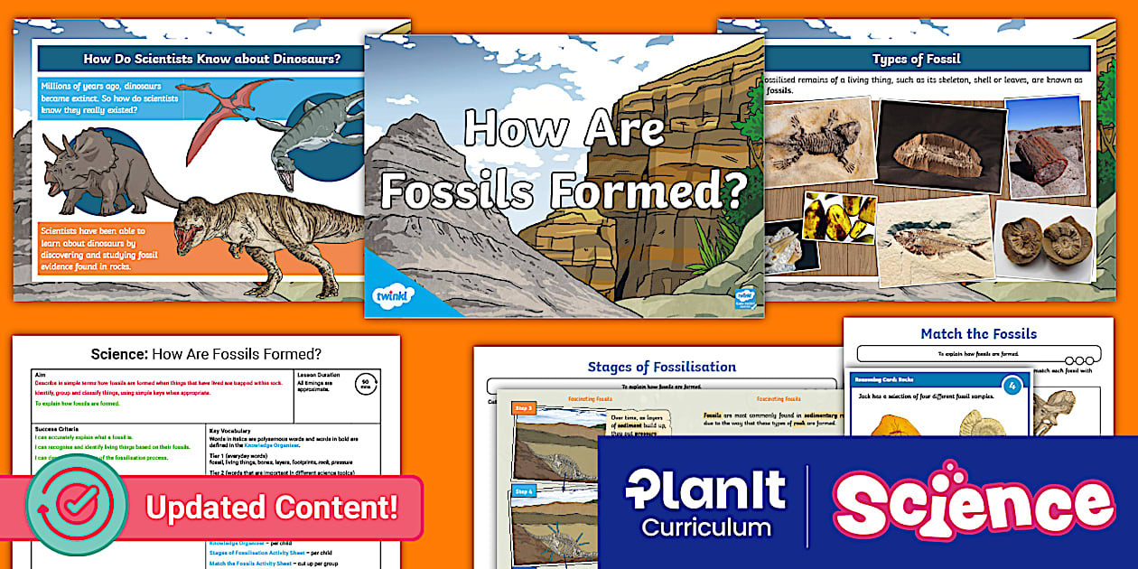 Mary Anning Fossils | Science | How Fossils Are Formed | KS2