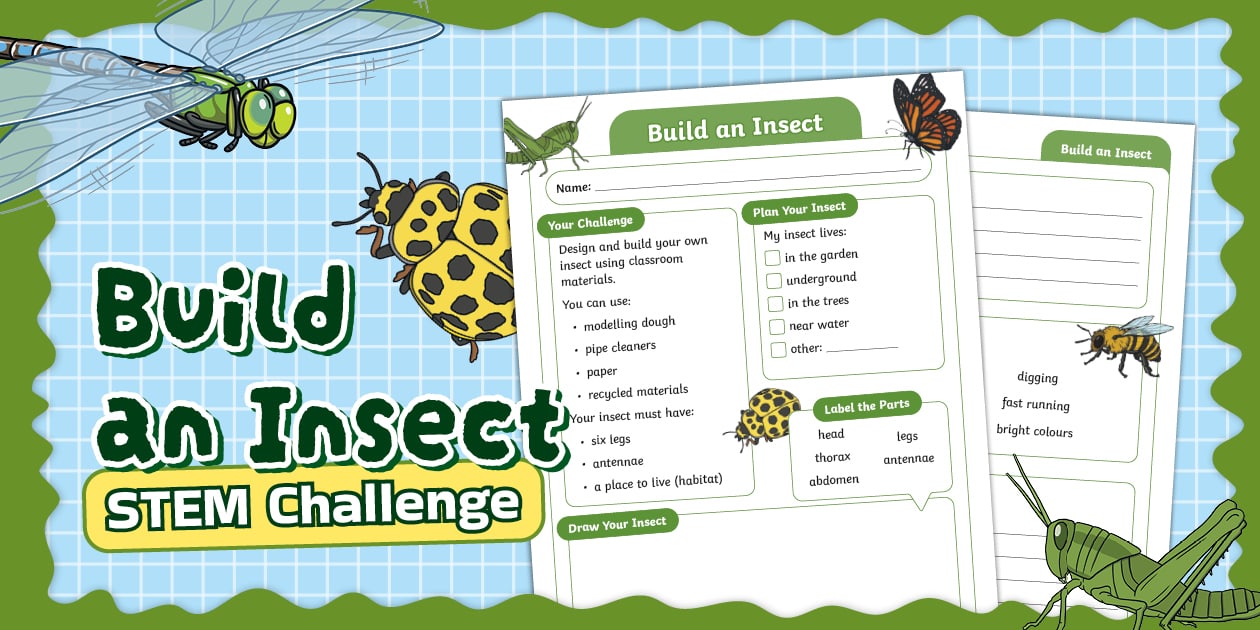 Insect STEM Challenge Activity Sheet