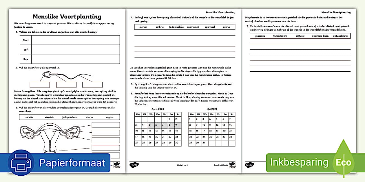 Menslike Voortplanting Huiswerk Aktiwiteit - Twinkl