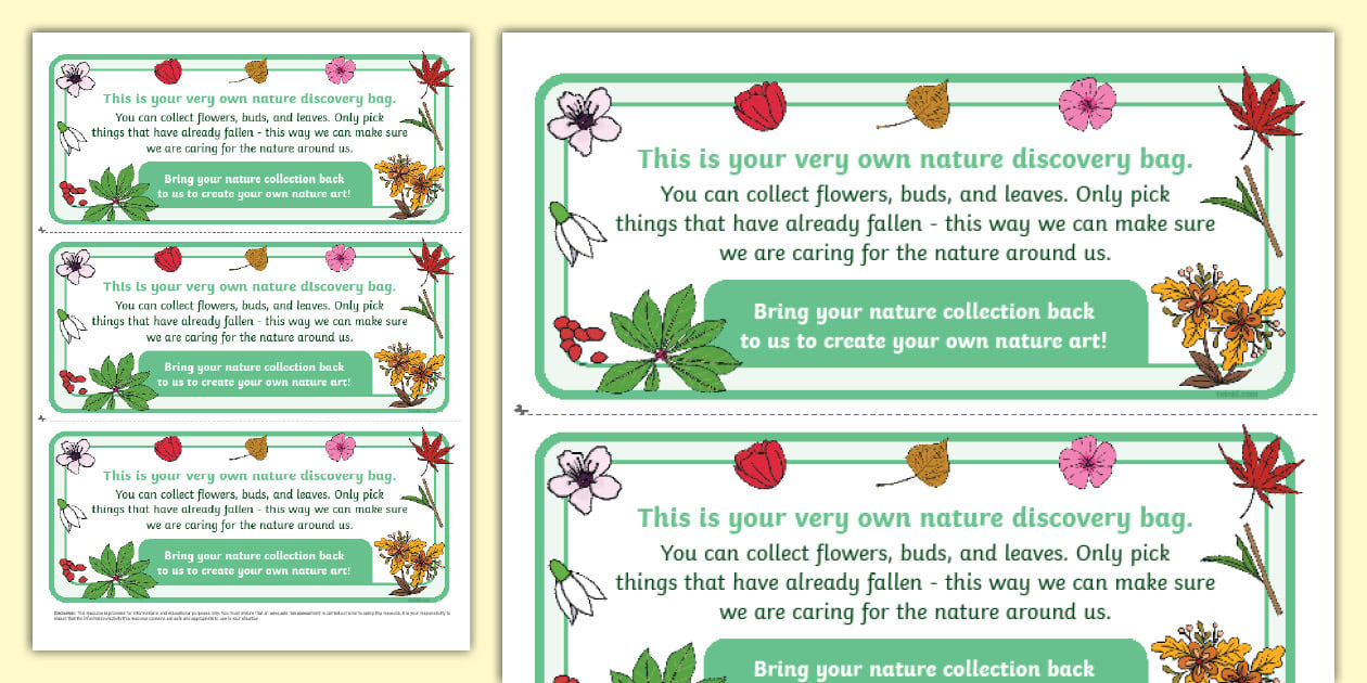 Nature Hunt Home Link (teacher made) - Twinkl
