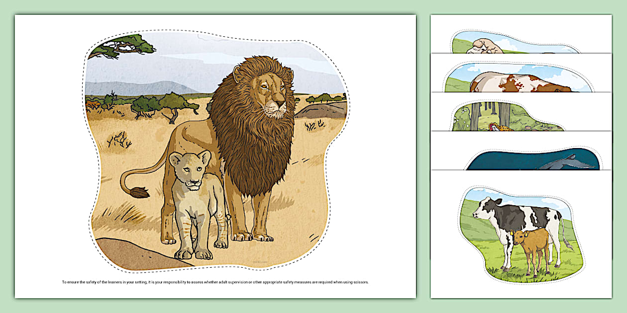 Animals and Offspring Cut Out Pack (Teacher-Made) - Twinkl