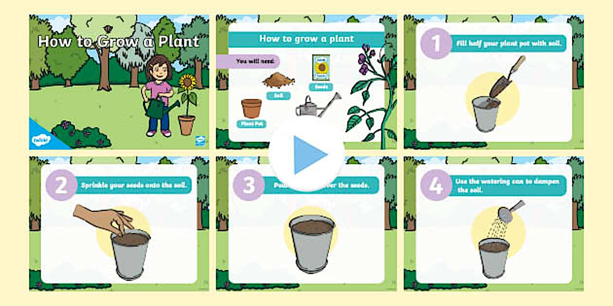 How to Grow a Plant PowerPoint (Teacher-Made) - Twinkl