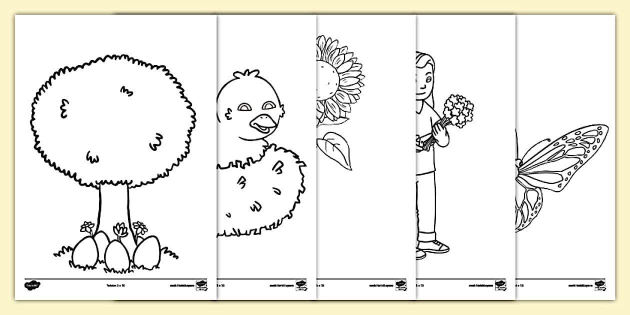 Welsh Spring Colouring Pages | Twinkl Resources | Wales