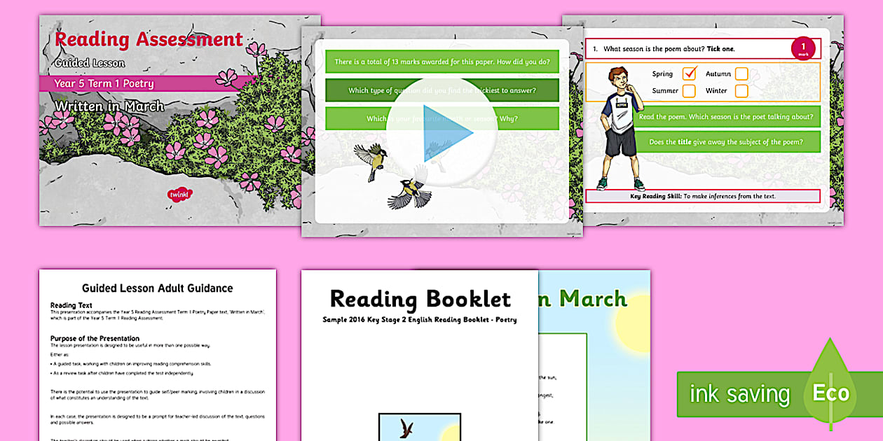 Year 5 Term 1 Poetry Reading Assessment Guided Lesson Teaching Pack
