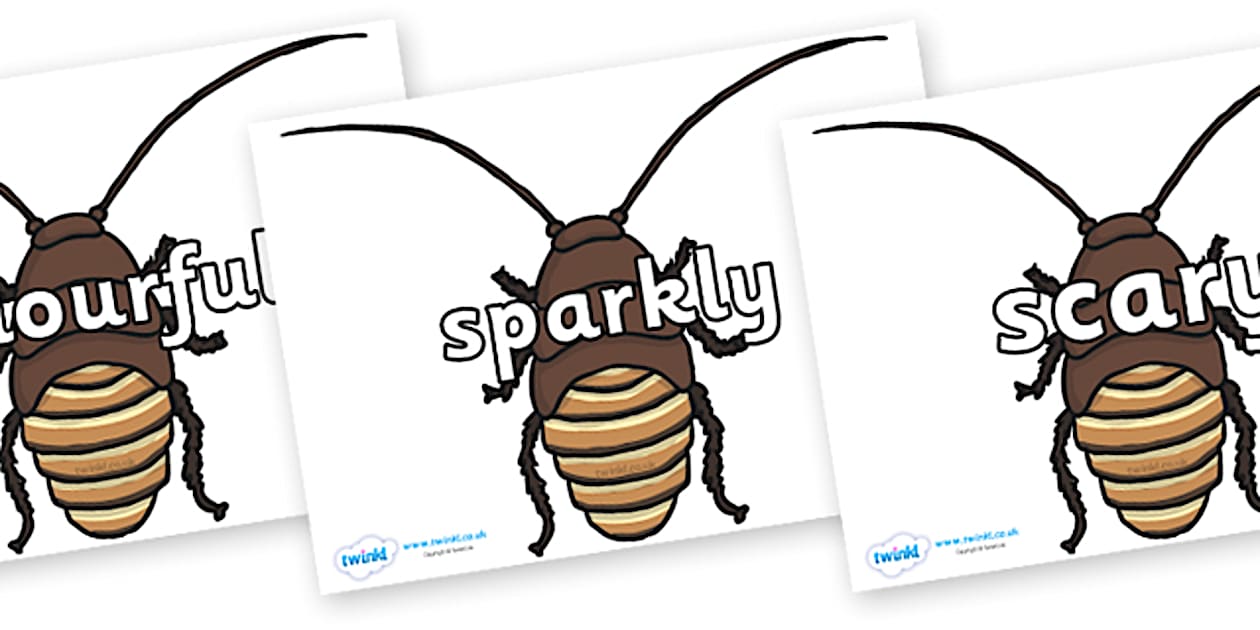 Wow Words on Cockroach (teacher made) - Twinkl