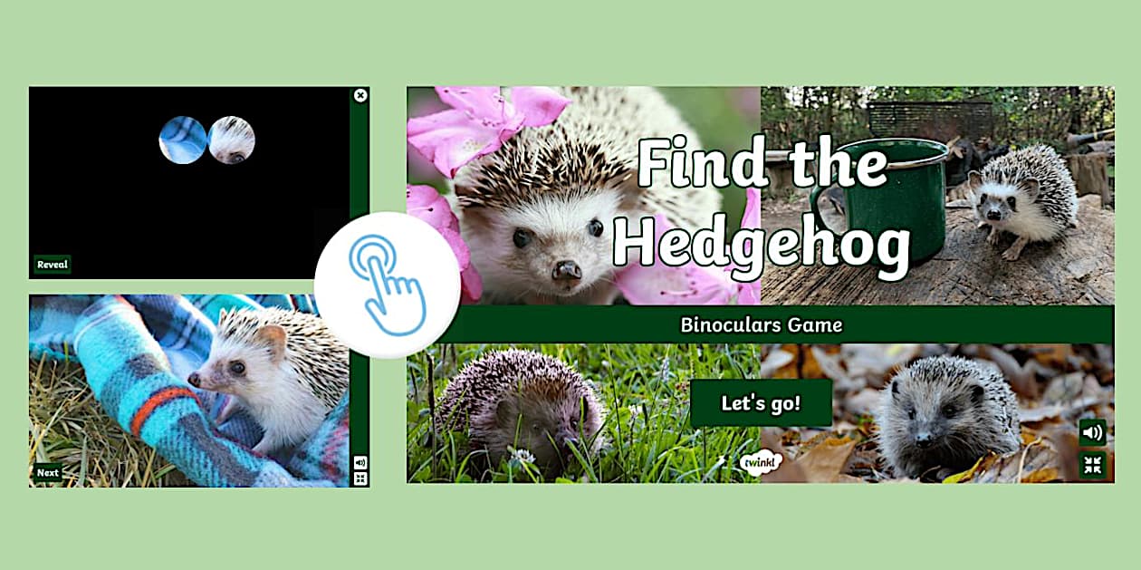 Find the Hedgehog Game | Interactive Resource | Twinkl EYFS