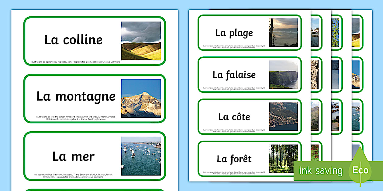 Cartes de vocabulaire : l'environnement naturel - Twinkl