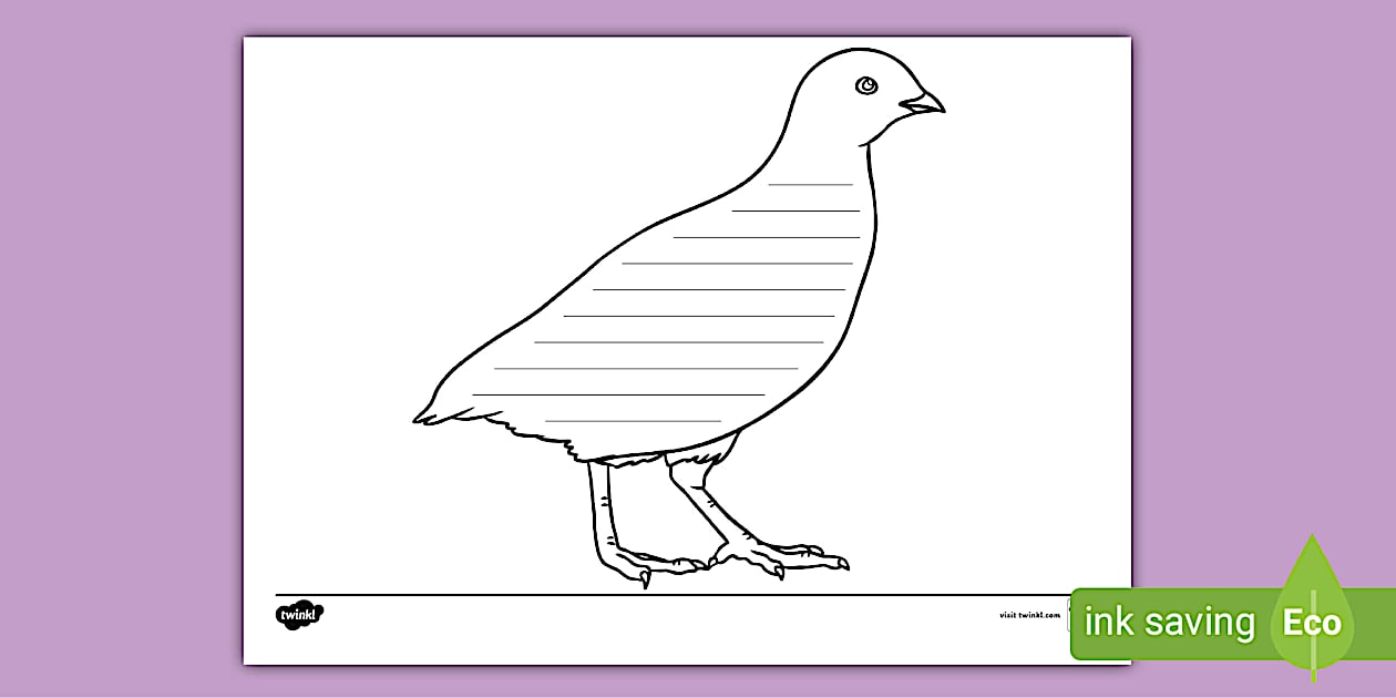 Quail Writing Template (teacher made) - Twinkl