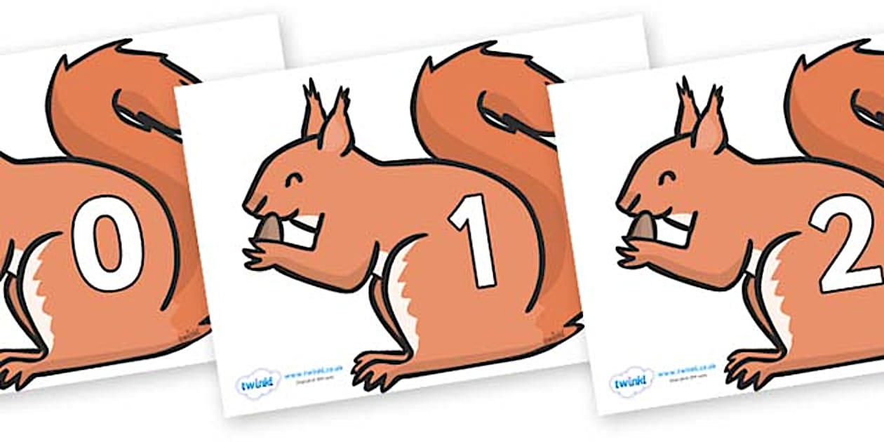 Numbers 0-31 on Red Squirrels (teacher made) - Twinkl