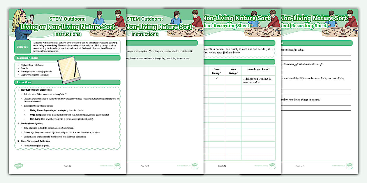 STEM Outdoors: Living or Non-Living Nature Sort - Twinkl