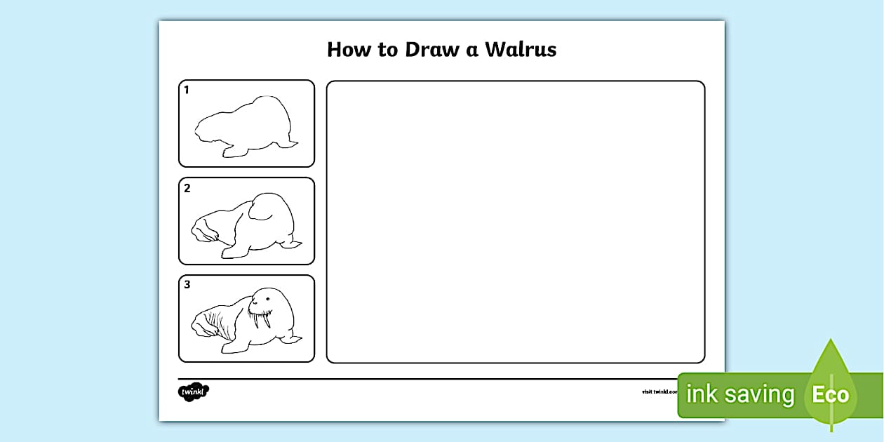 How to Draw a Walrus In Three Steps | Twinkl | Drawing | KS1