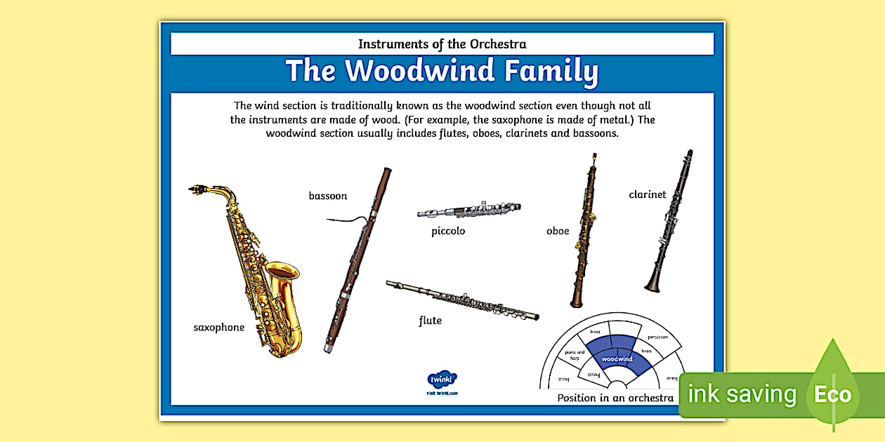 Orchestra Instruments Woodwind Family Poster (teacher made)