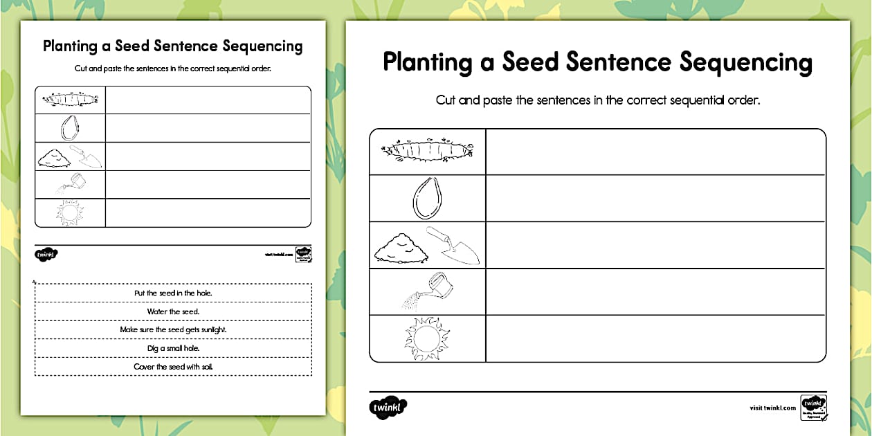 Planting a Seed Sentence Sequencing Worksheet (teacher made)