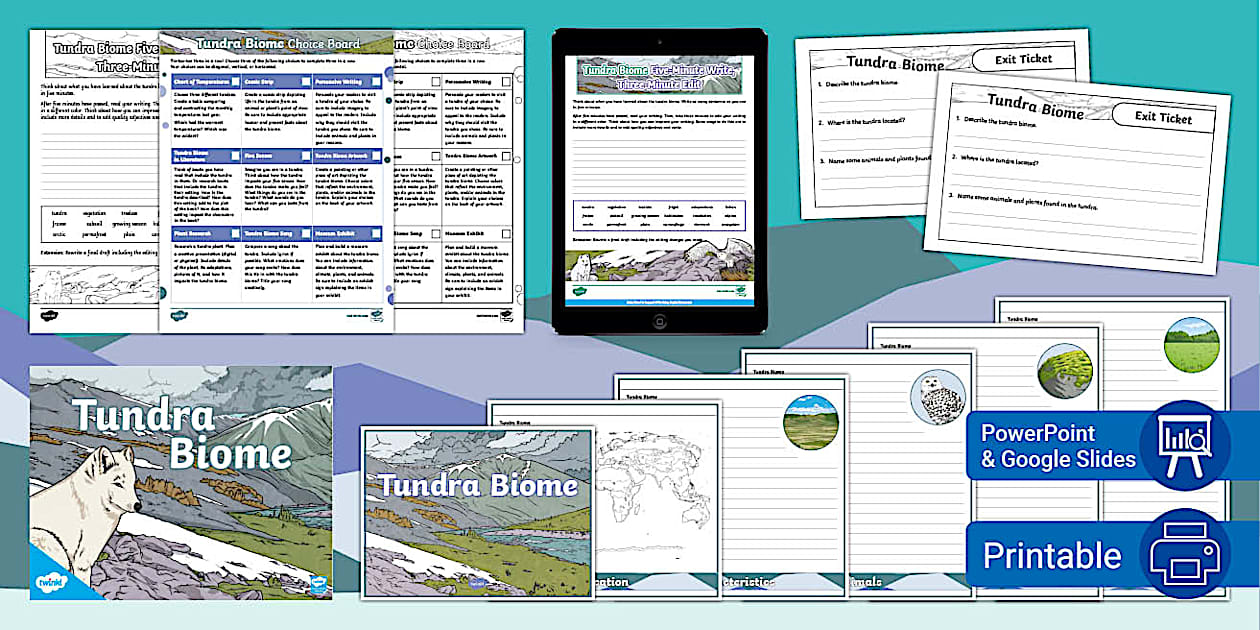 Tundra Biome Lesson Pack (teacher made) - Twinkl