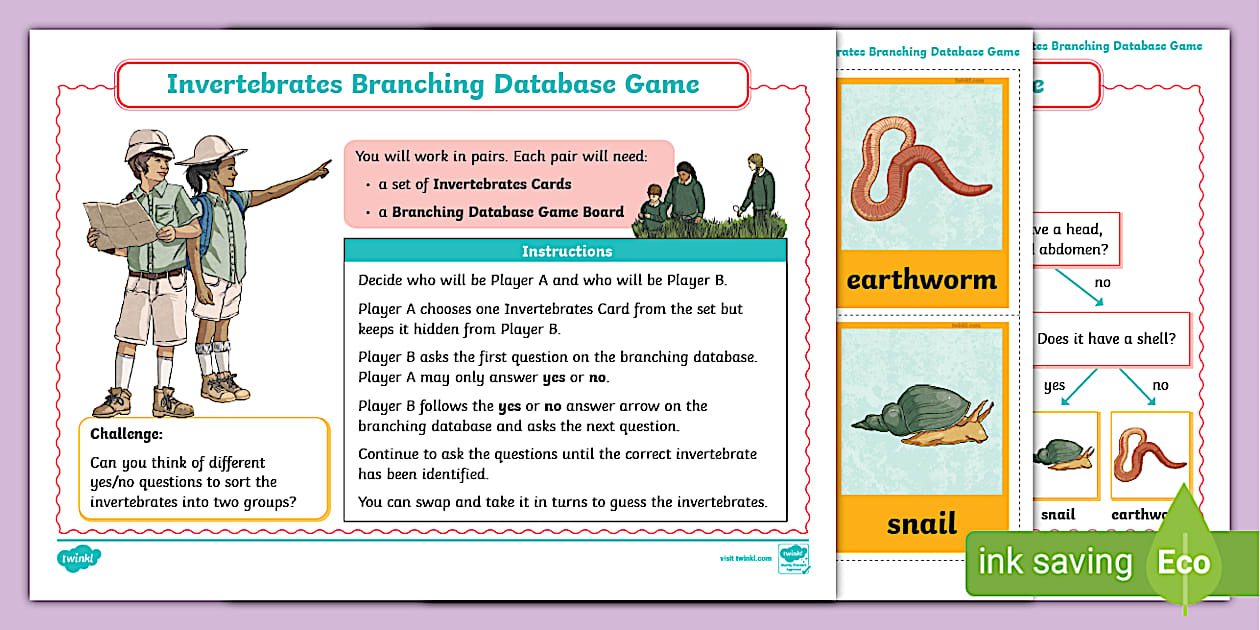 Invertebrates Branching Database Game - Computing - Twinkl