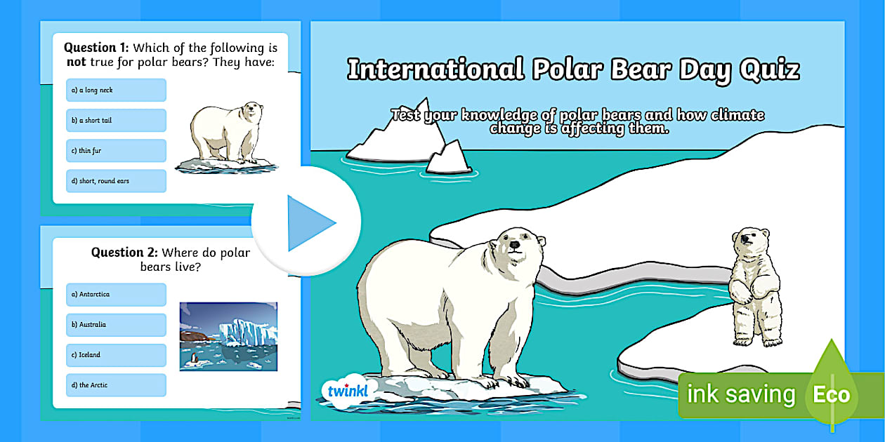 International Polar Bear Day Quiz as icebreaker for lessons