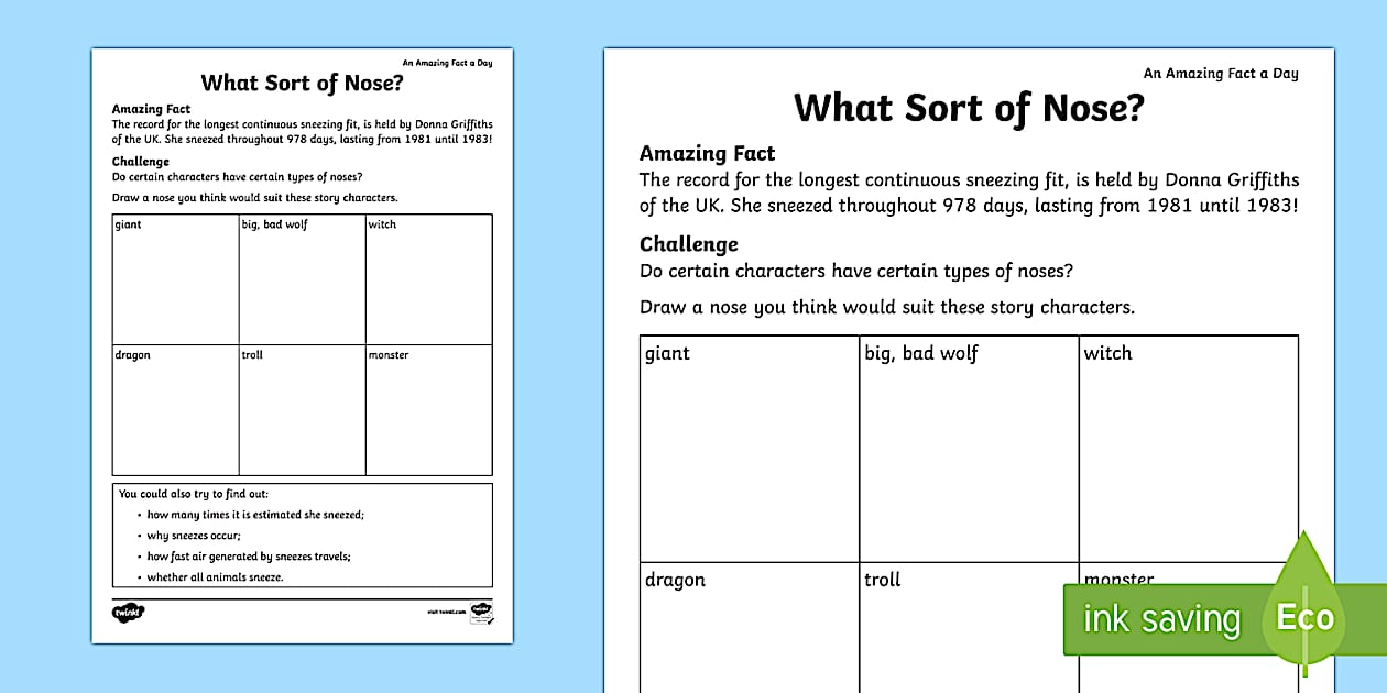 What Sort of Nose? Worksheet / Worksheet - Twinkl