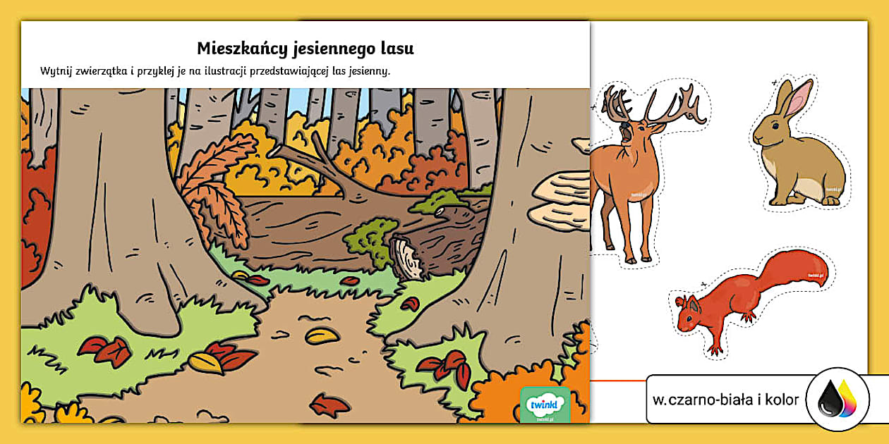 Mieszkańcy jesiennego lasu | Wycinanka | Jesień - Twinkl