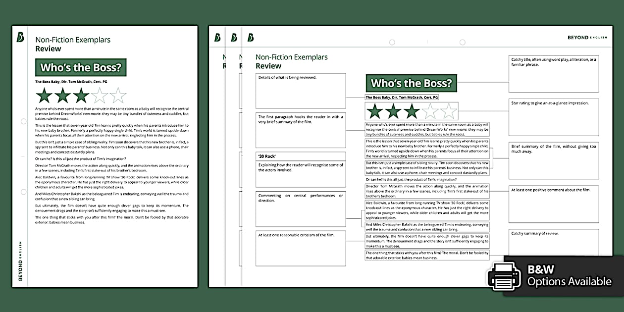 Editable Review Exemplar Resource Pack (teacher made)