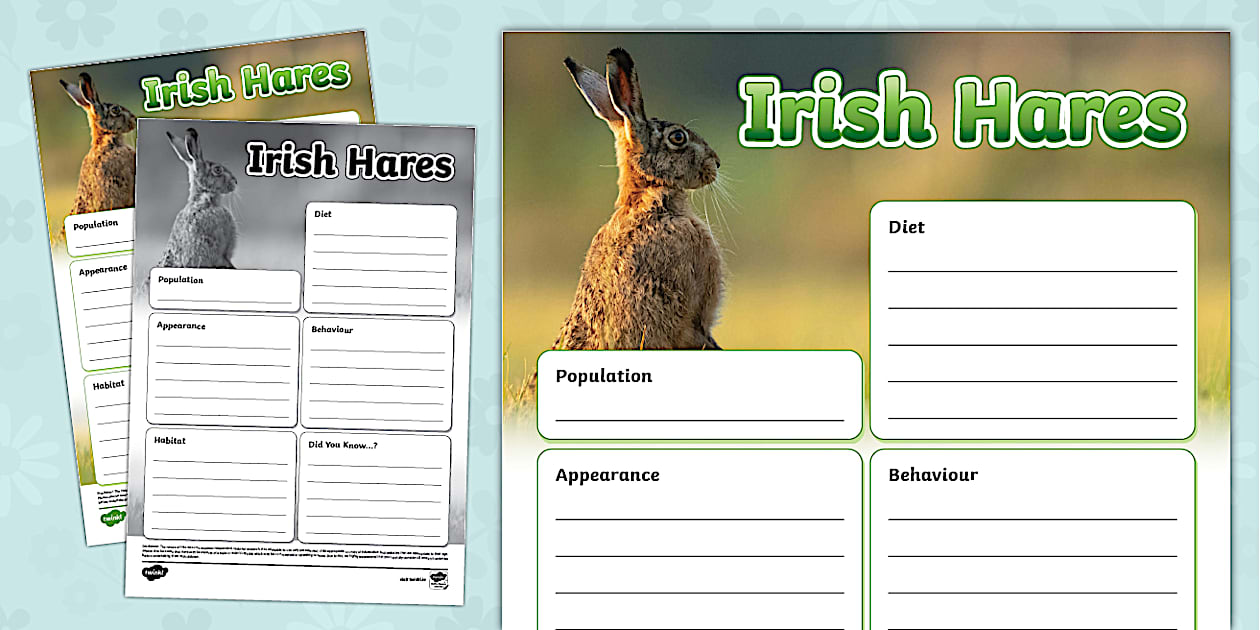 National Animal of Ireland - Irish Hares Fact File Template