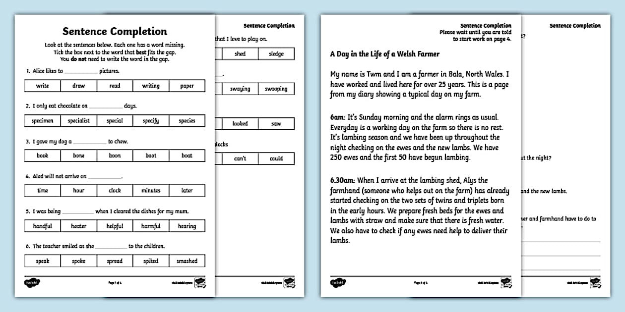 PS2 Welsh Reading Test Resources- Worksheets - Twinkl
