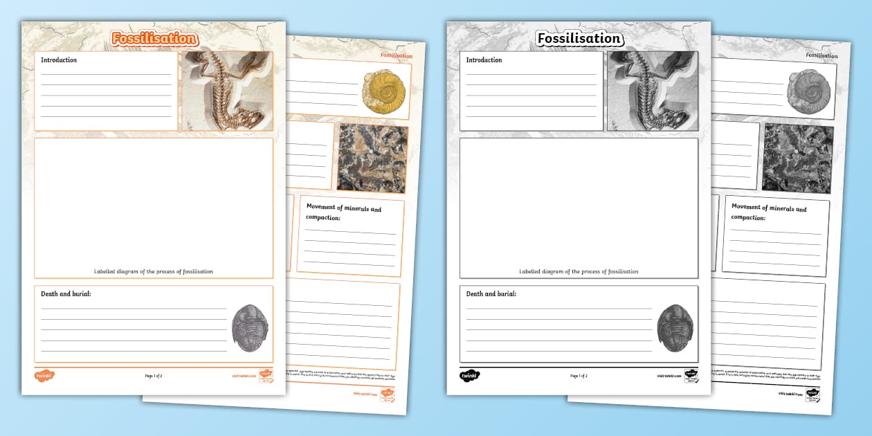 Fossilisation Non-Chronological Report Template - Twinkl