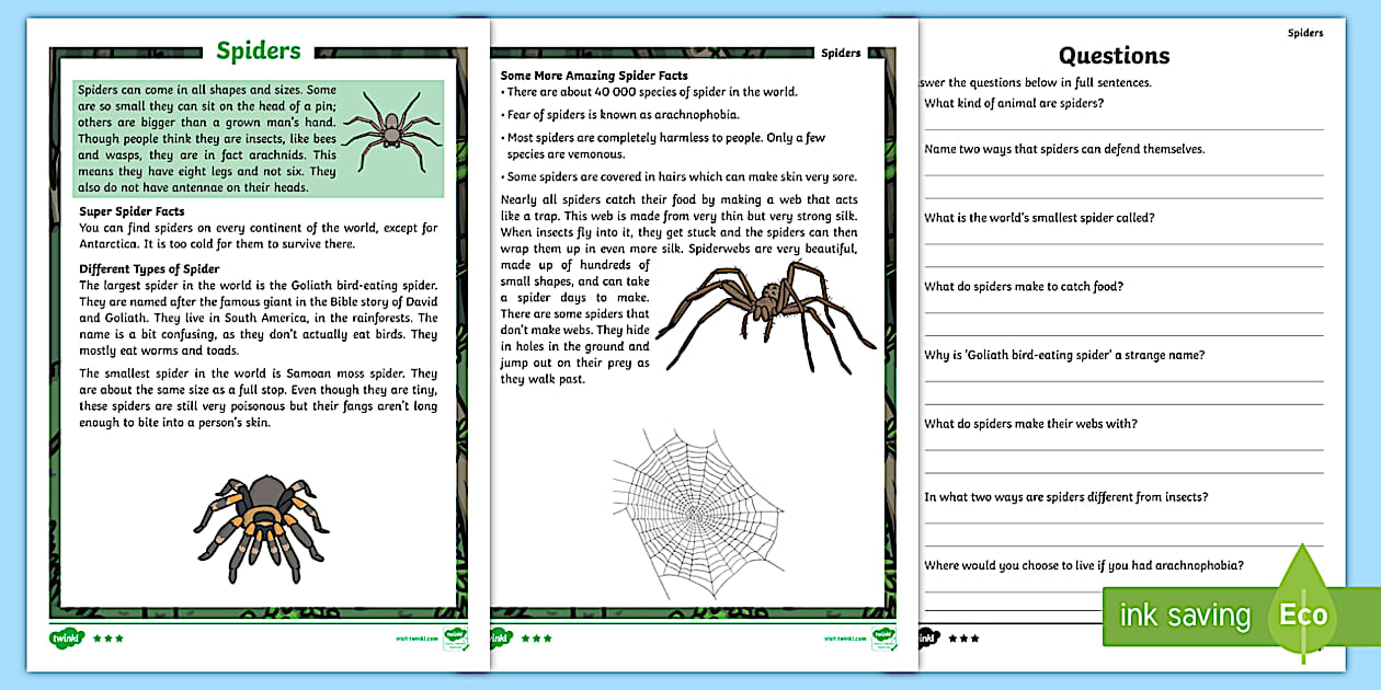 Spiders Differentiated Reading Comprehension Activity