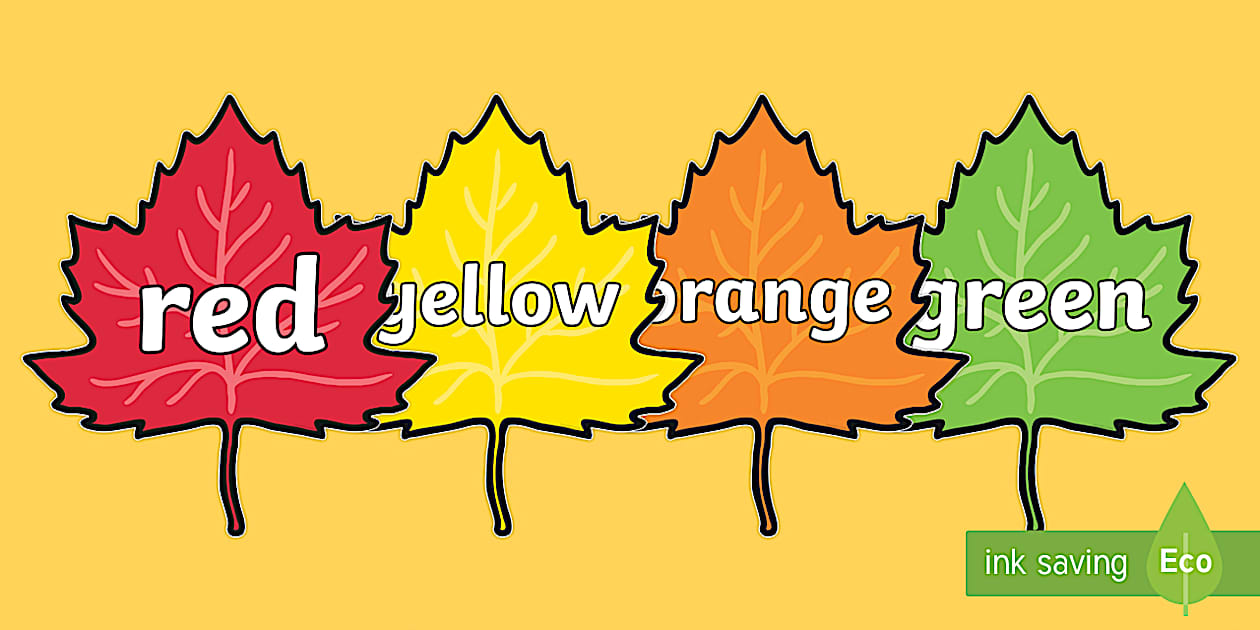 Fall Leaf Cutouts | Fall Season | Twinkl USA