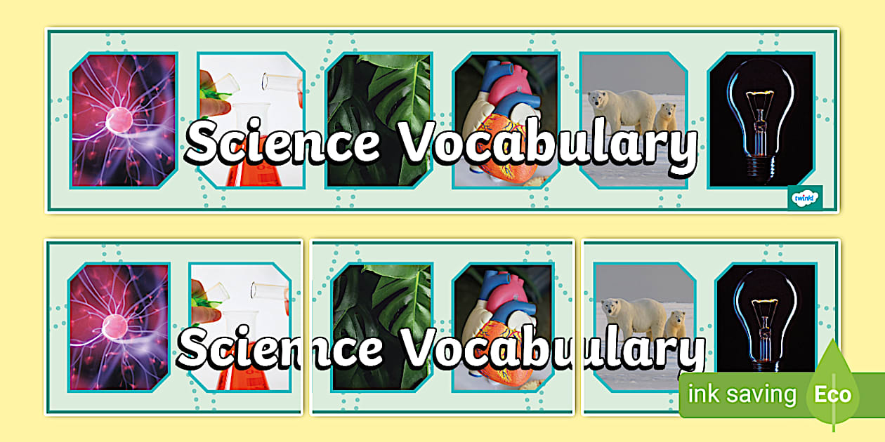 Science Vocabulary Photo Display Banner (teacher made)